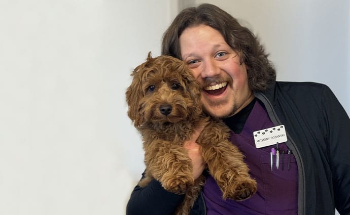 Veterinarian Bristow VA | Animal Hospital Bristow VA