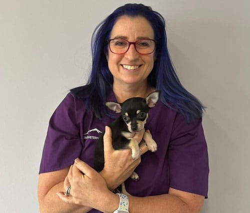 Veterinarian Bristow VA | Animal Hospital Bristow VA