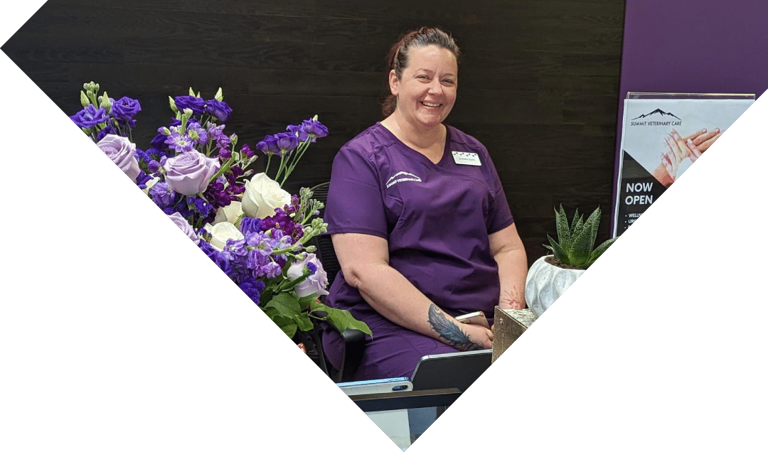 Services - Summit Veterinary Care