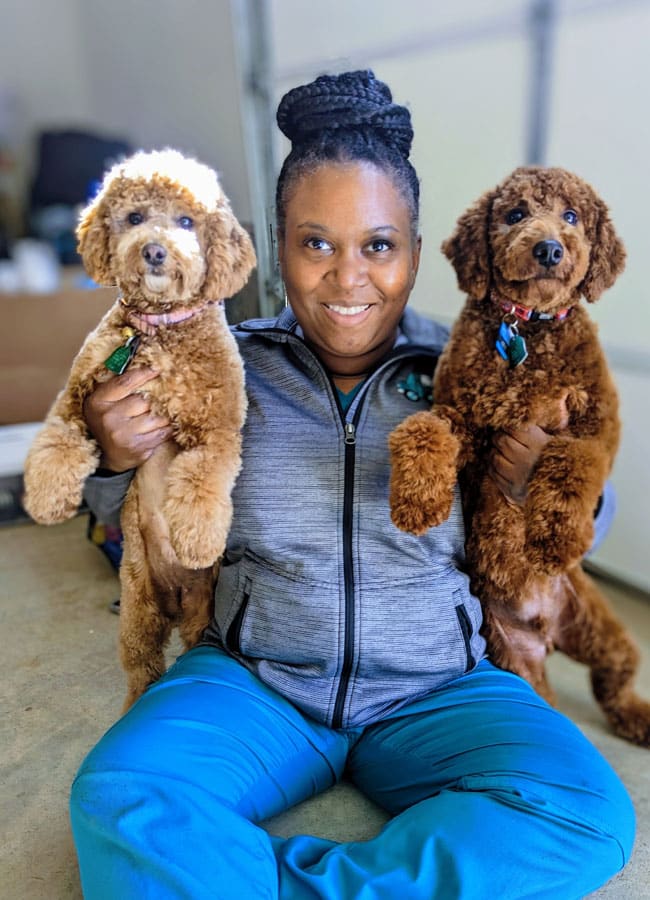 Veterinarian Bristow VA | Animal Hospital Bristow VA