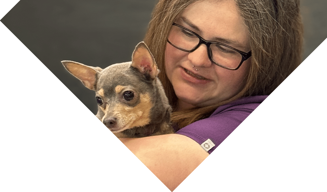 Team - Summit Veterinary Care