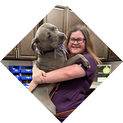 Careers - Summit Veterinary Care