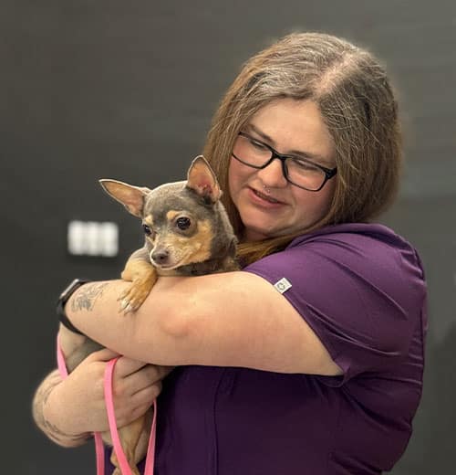 About - Summit Veterinary Care