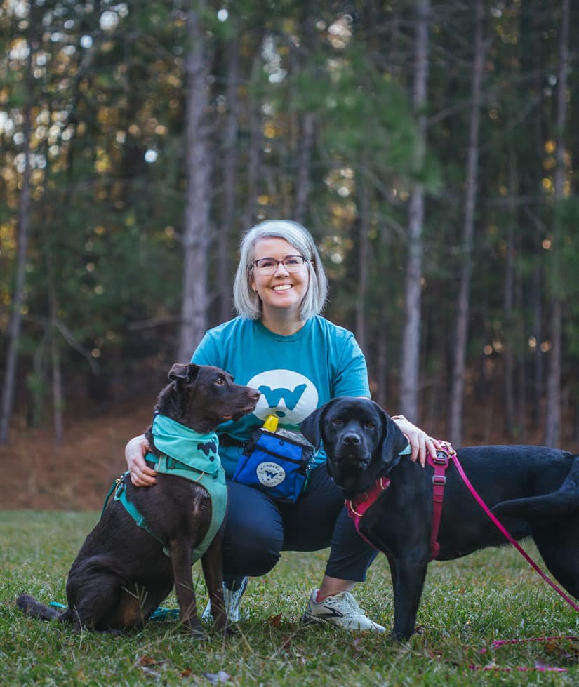 Group Classes - Summit Veterinary Care