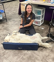 About - Summit Veterinary Care