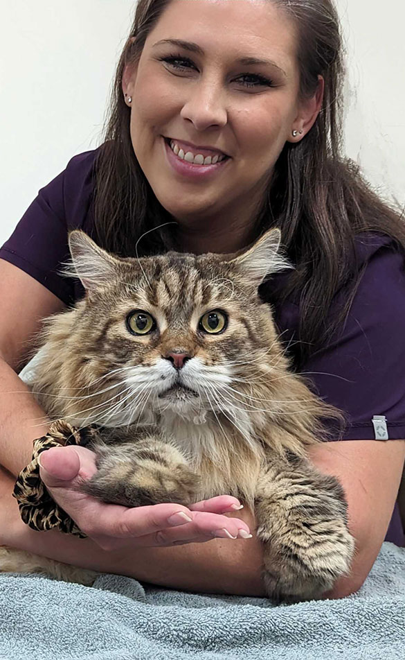 Fear Free Vet Visits 101 - Summit Veterinary Care